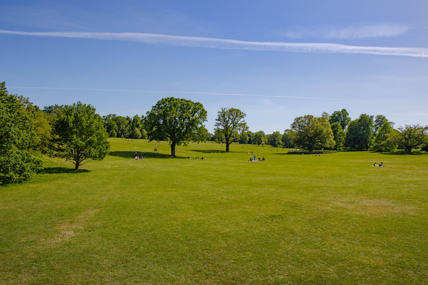 HylandsPark-101 | Hylands Estate