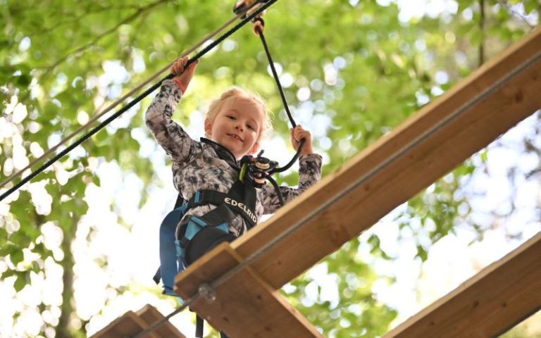 Go Ape | Hylands Estate